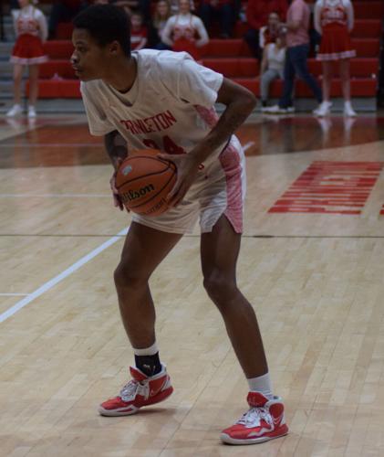 Tiger basketball falls in Sectional title game | Sports | pdclarion.com