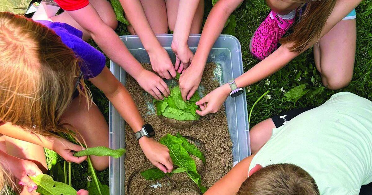 Conservation Crusaders | | pdclarion.com