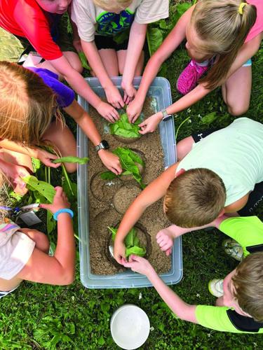 Conservation Crusaders | | pdclarion.com