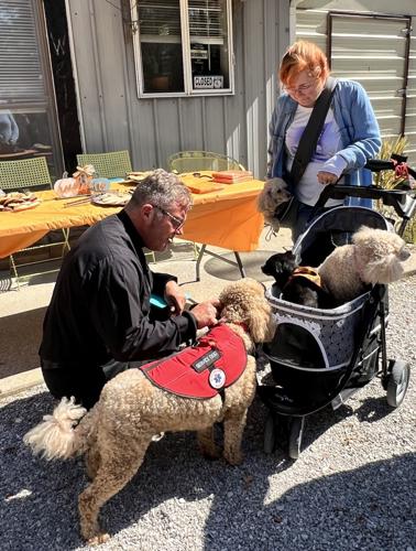 Blessing the animals | Local News | pdclarion.com