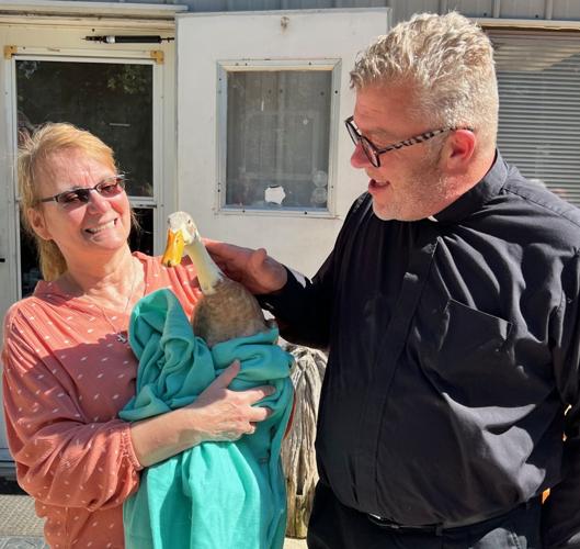 Blessing the animals | Local News | pdclarion.com