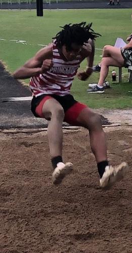 Titan track and field takes home Sectional crown | Sports | pdclarion.com