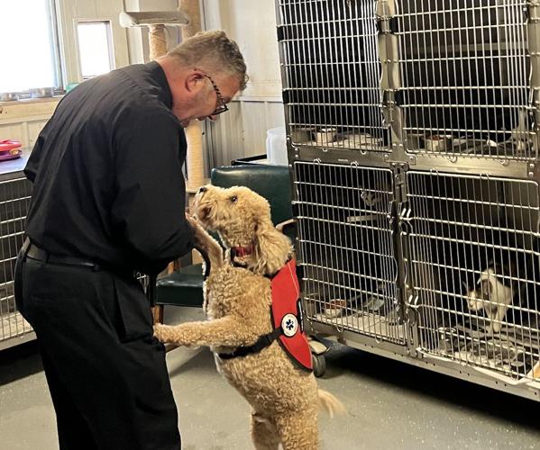 Blessing the animals | Local News | pdclarion.com