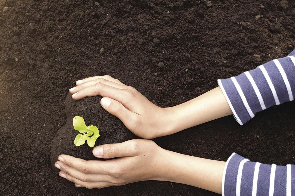 The role of the humble earthworm in sustainable agriculture | State ...