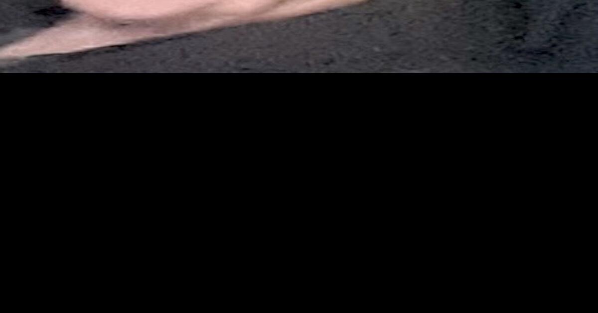 Kenneth Meier | | pdclarion.com