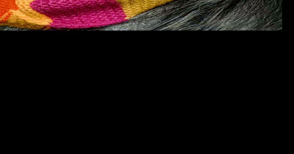 Jessica J. Brinker | Obituaries | pdclarion.com