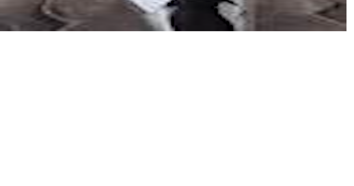 Bob Lytle | Obituaries | pdclarion.com