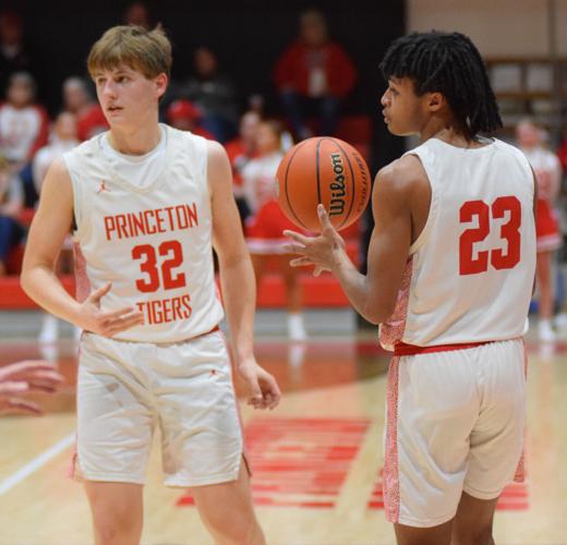 Tiger basketball falls in Sectional title game | Sports | pdclarion.com