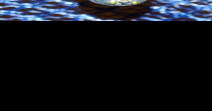 Monarch butterfly programs presented in July | Community | pdclarion.com