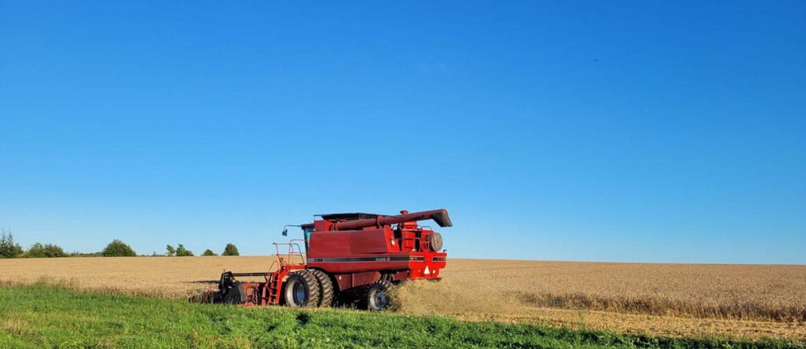 Grains producer sees yield soar during enhancement program | Island ...