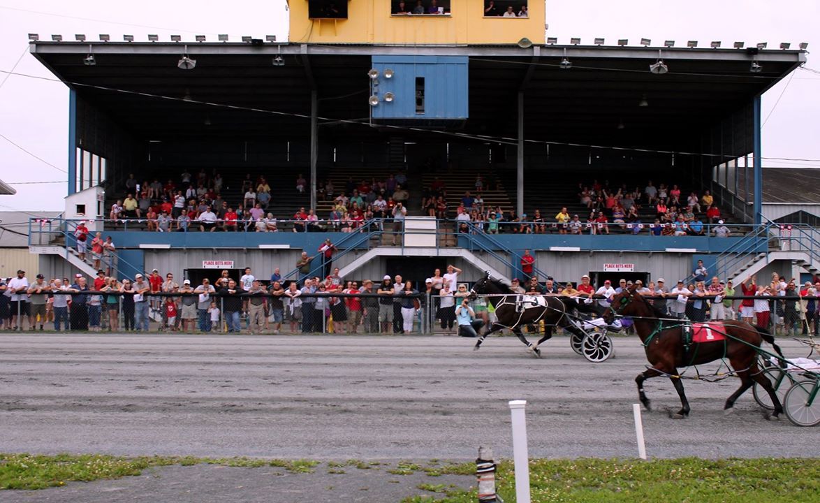 Skippy wins Walter Dale Invitational as harness racing season opens at ...