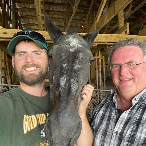 Maritimers in spotlight at National Drivers in Hippodrome 3R | Atlantic ...