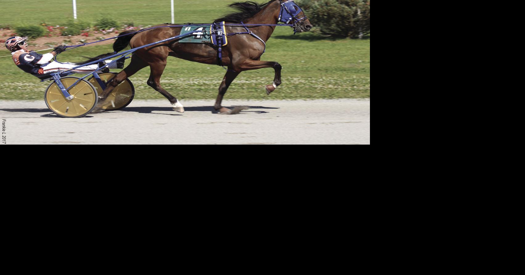Harness Racing gives maritime tourism, economy a big boost | Atlantic ...