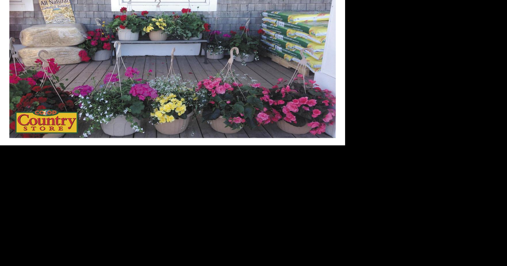 Agro Co-op | | peicanada.com