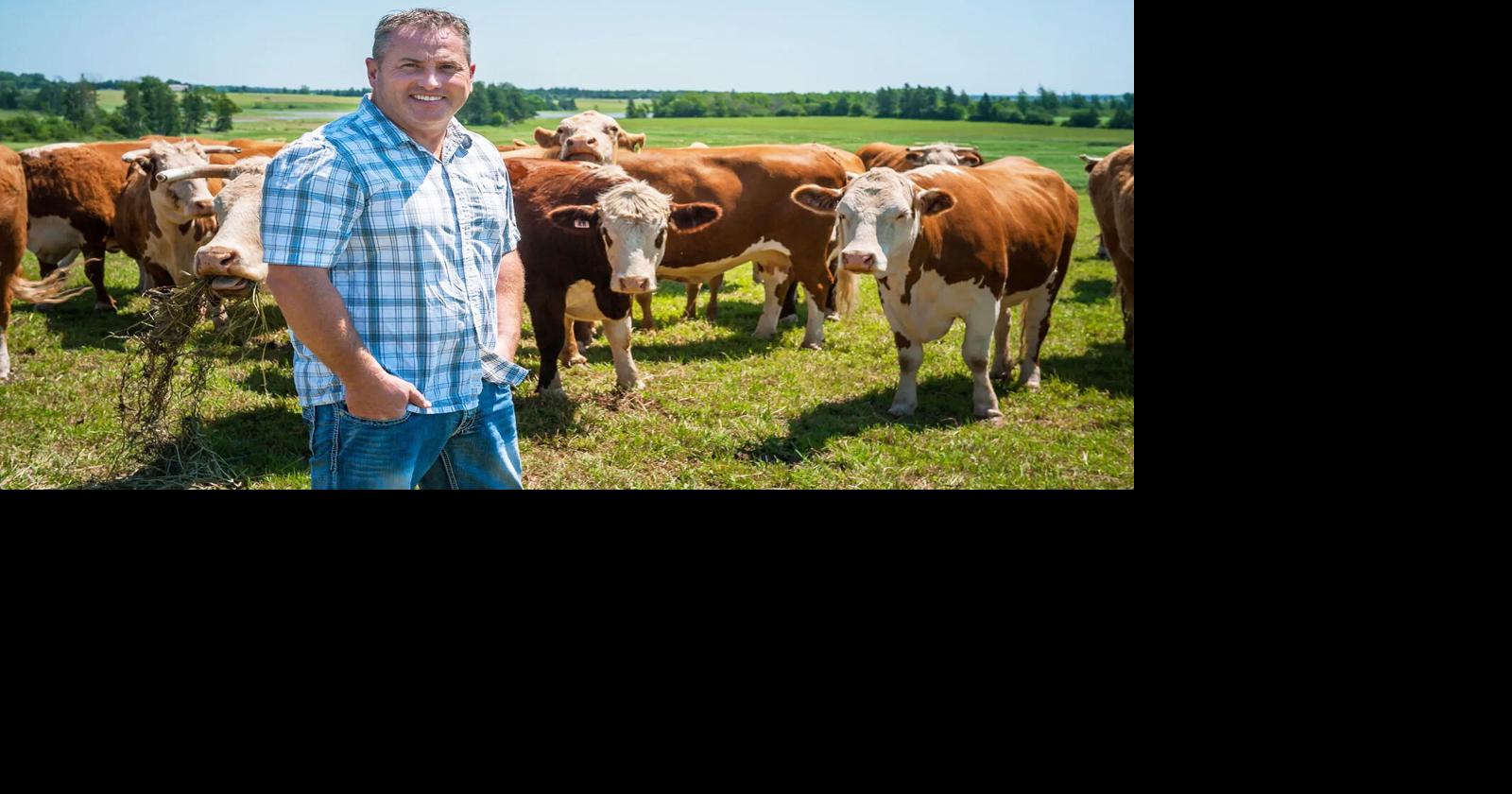 ABP beef plant transforms into producer co-operative | Island Farmer ...