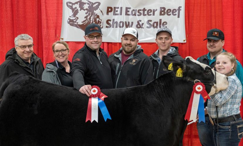North River 4-H Club reigns at Easter Beef | Island Farmer | peicanada.com