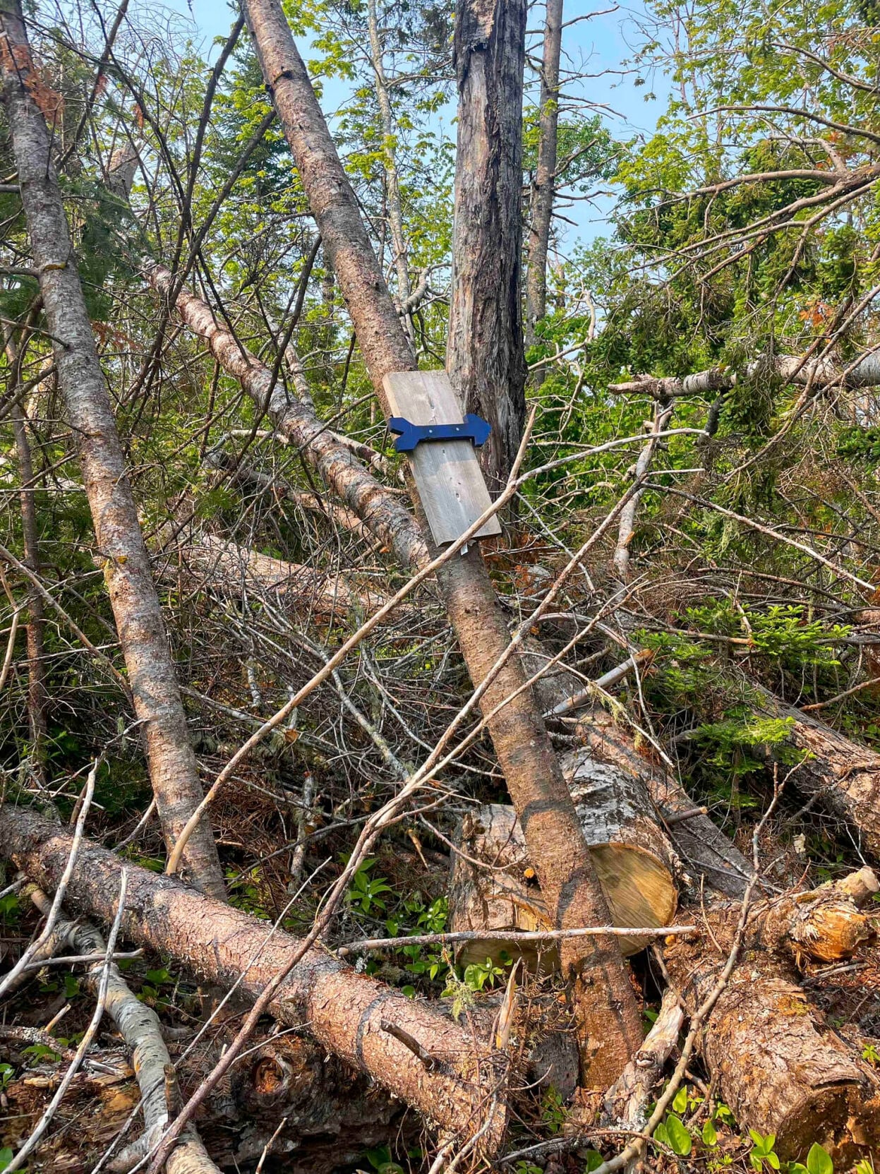 Hiker happy to see rescuers after nine-hour ordeal on Beck trail | The ...