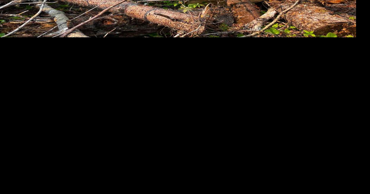 Fiona hazard roundup | Island Farmer | peicanada.com