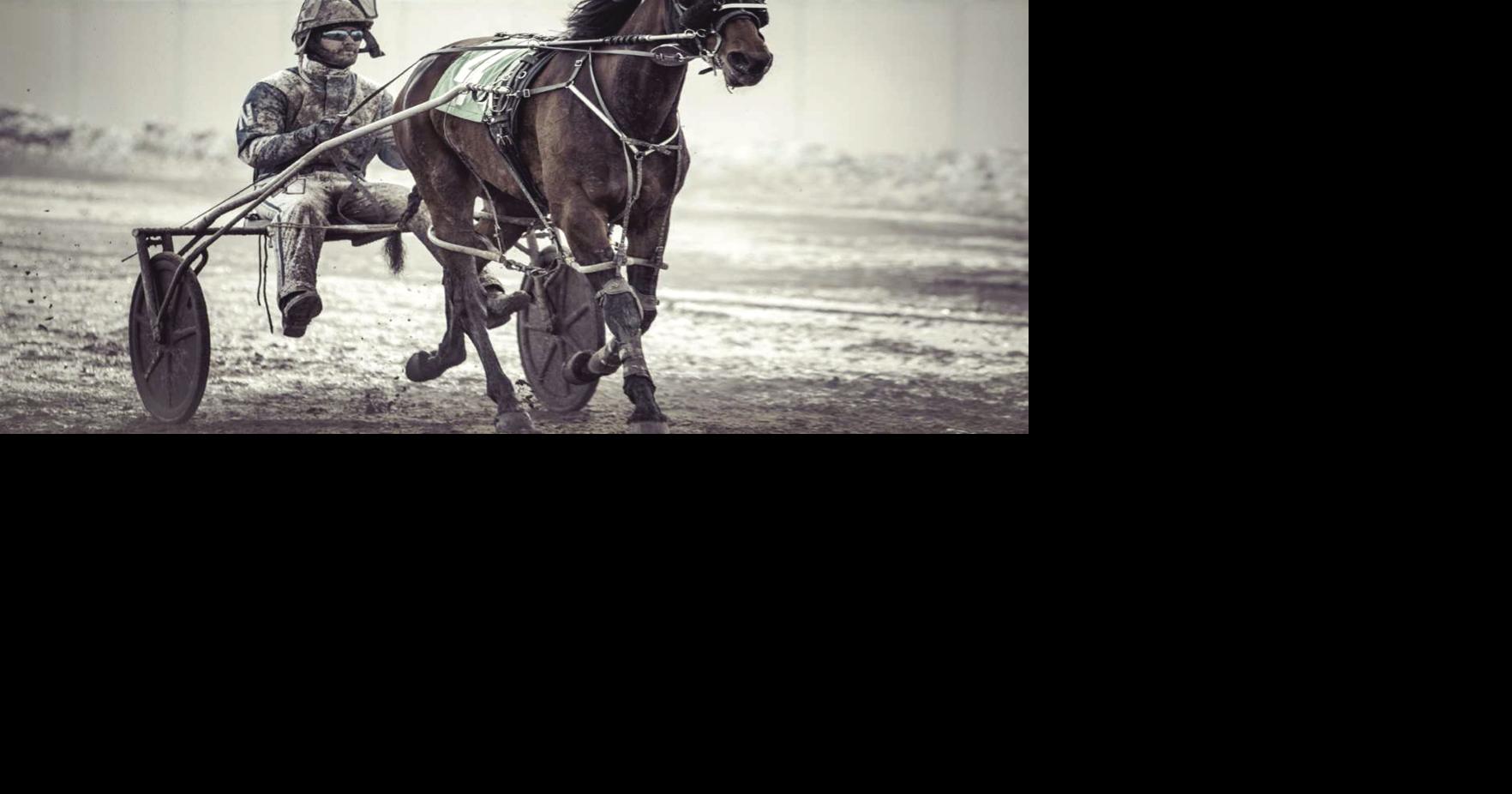 Kevin McMaster tops all trainers in wins at Woodbine | Atlantic Post ...