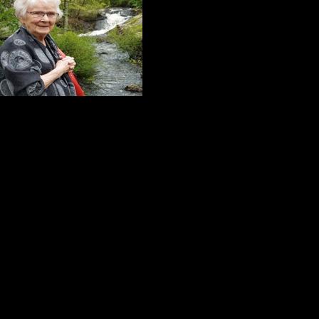 Della Rachel (MacKay) Kielly | Island Deaths | peicanada.com