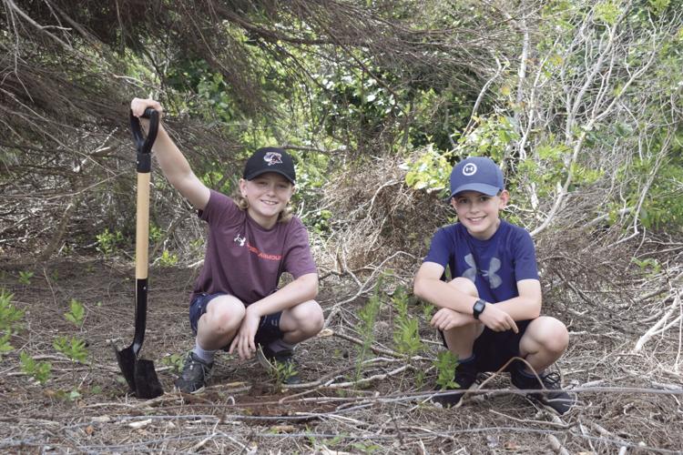 Restoration of beloved trail begins with local students | The Eastern ...