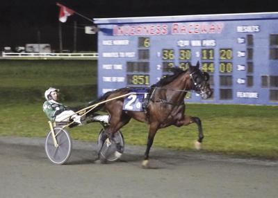 Irish Ray still unbeaten after Inverness stake action | Atlantic Post ...