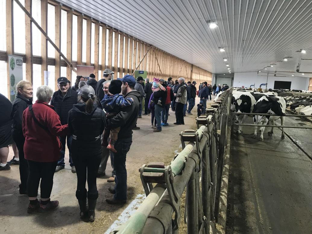 Jewell Dale Farm welcomes hundreds of Islanders to unveil new barn ...