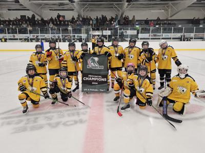 Minor hockey team turn it around to win provincial title | West Prince ...