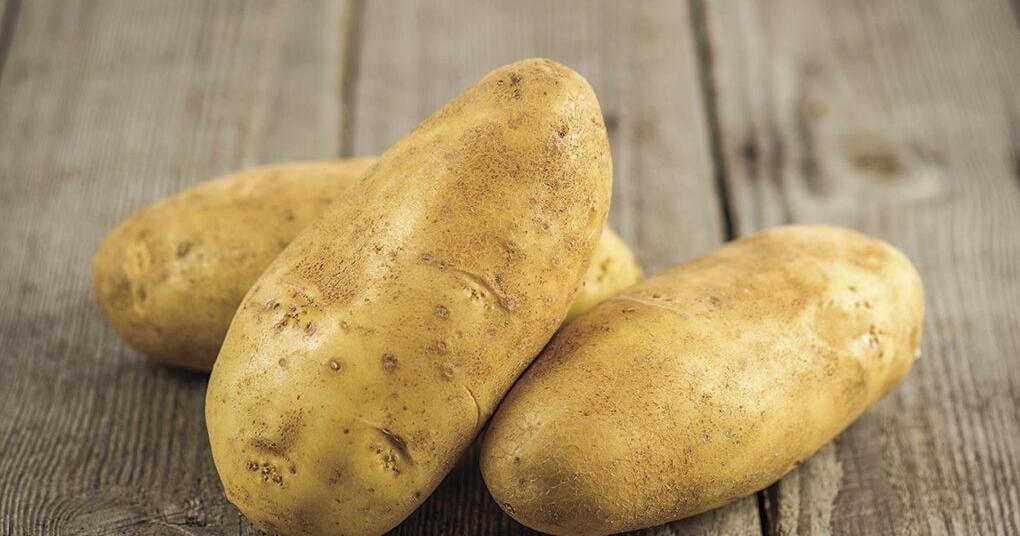 PEI’s potato industry regaining its top spot | Island Farmer ...