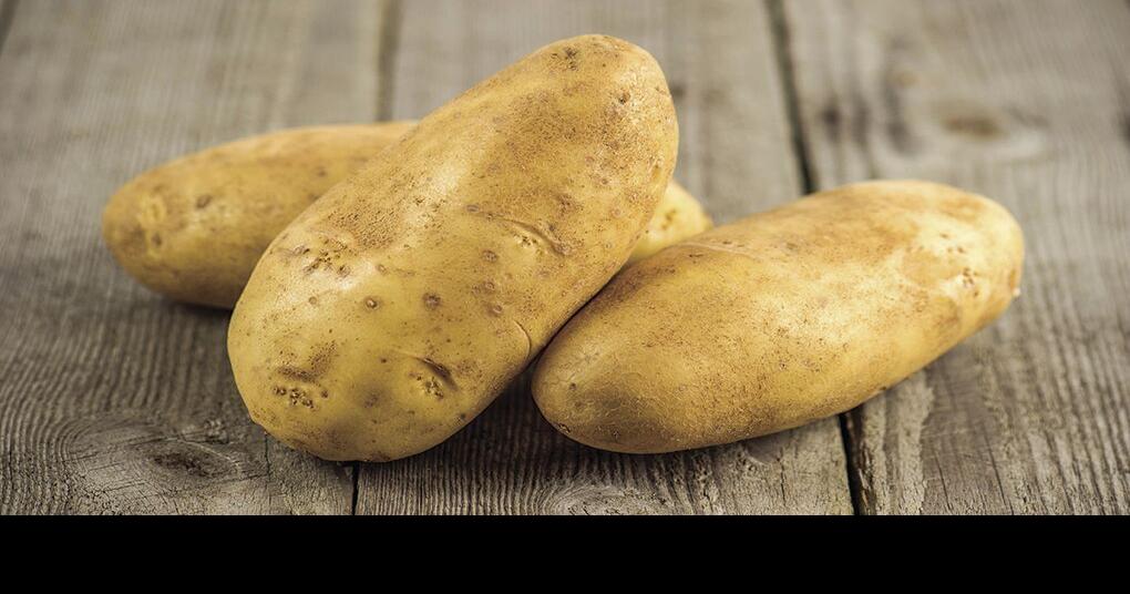PEI’s potato industry regaining its top spot | Island Farmer ...