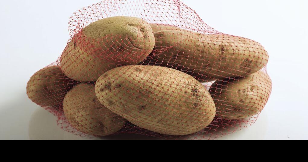 Growers ready to harvest most expensive crop ever | Island Farmer ...