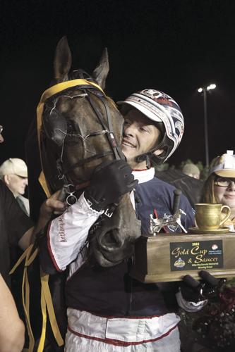Sintra’s Gold Cup and Saucer victory proves CDP Harness Racing capitol ...