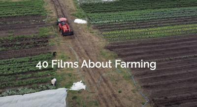 Four PEI farms in spotlight in NFU films about farming | Island Farmer ...