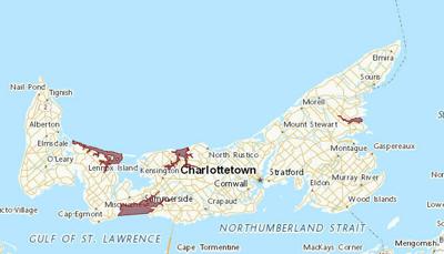 MSX detected in Boughton River as oyster crisis grows | The Eastern ...