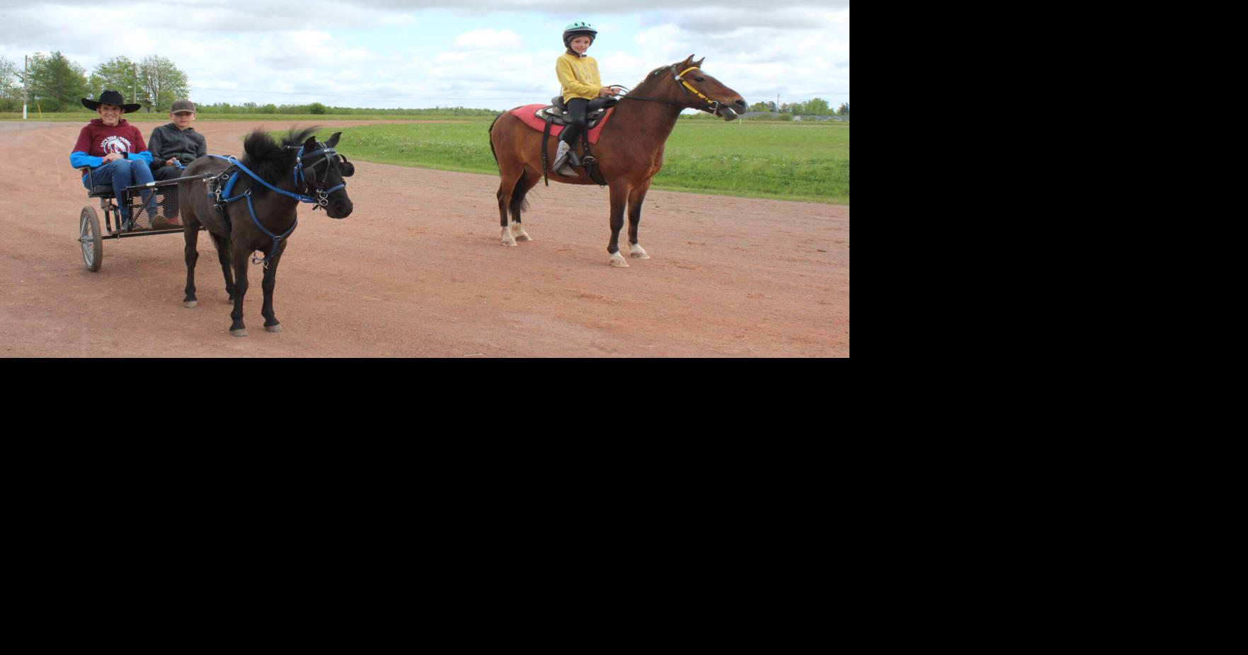 Benefits of horses showcased during equine event | West Prince Graphic ...