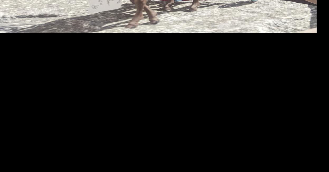 Decoupling and the end of BC Racing | Atlantic Post Calls | peicanada.com