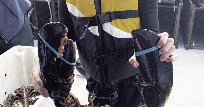 Seven pounder catch | The Eastern Graphic | peicanada.com