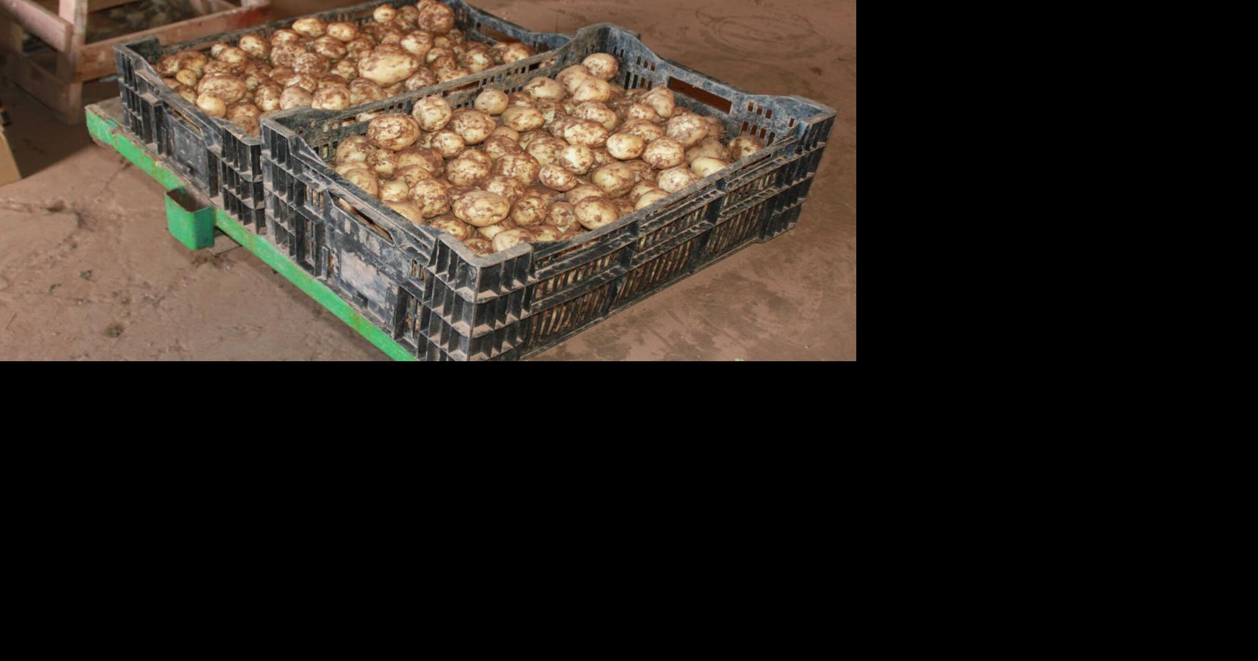 Industry experts gather in Charlottetown for Potato Association of ...