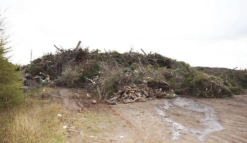 Fiona hazard roundup | Island Farmer | peicanada.com