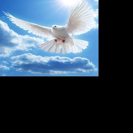 Raymond Joseph Goguen | Island Deaths | peicanada.com