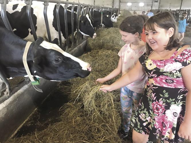 Abelaine Farms welcomes over 100 Grade 3 students for hands-on dairy ...