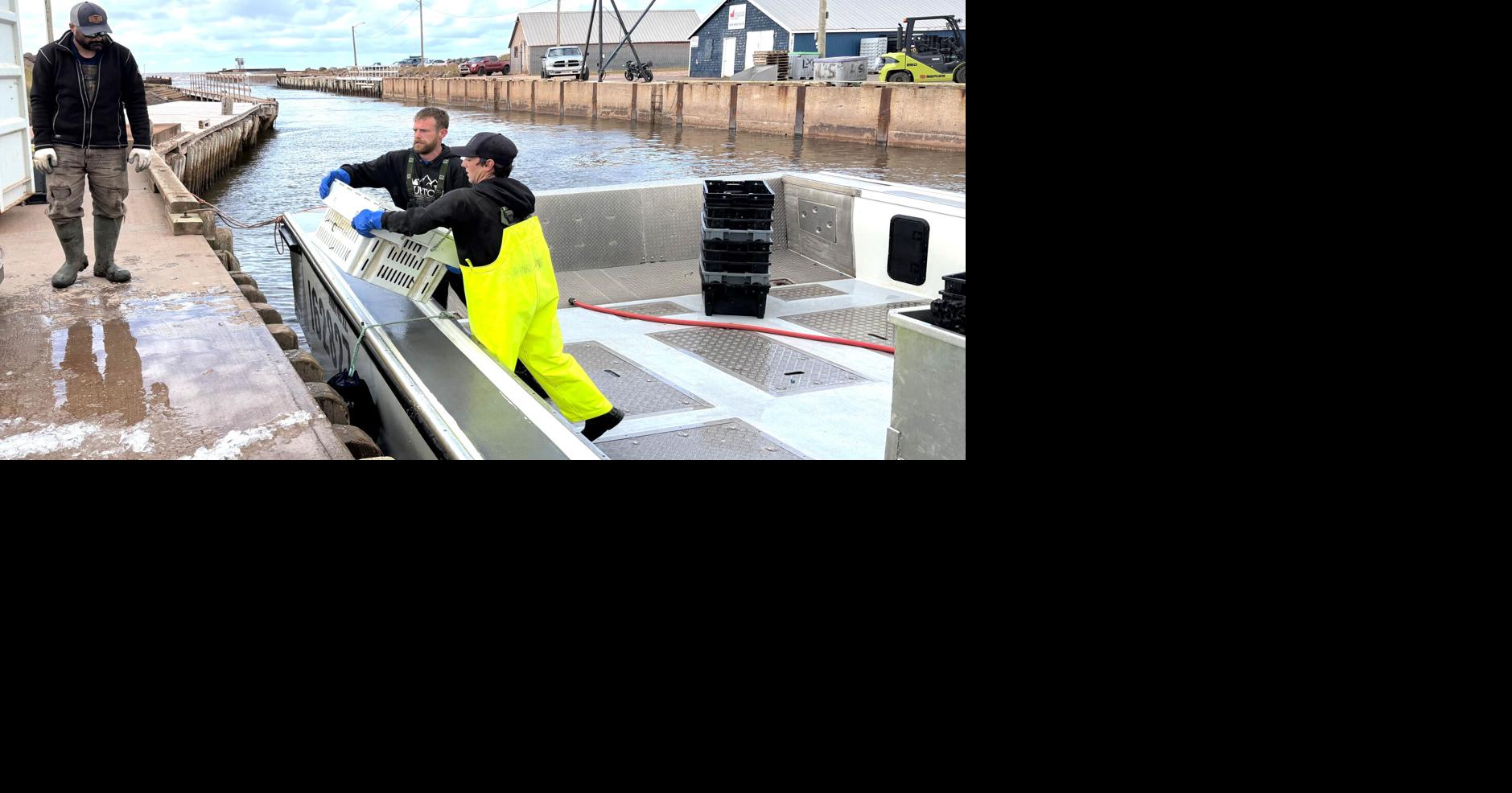 Catches vary as fall lobster season closes | West Prince Graphic ...