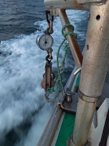 Fishers testing safer gear to help protect whales | West Prince Graphic ...