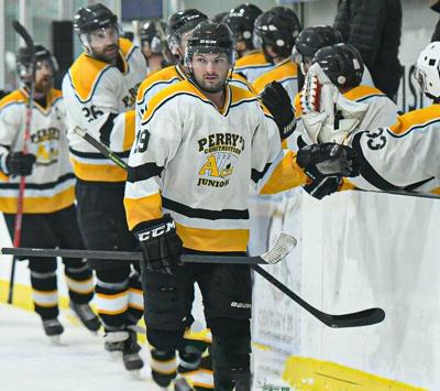 Senior hockey league rebrands as support grows | West Prince Graphic ...