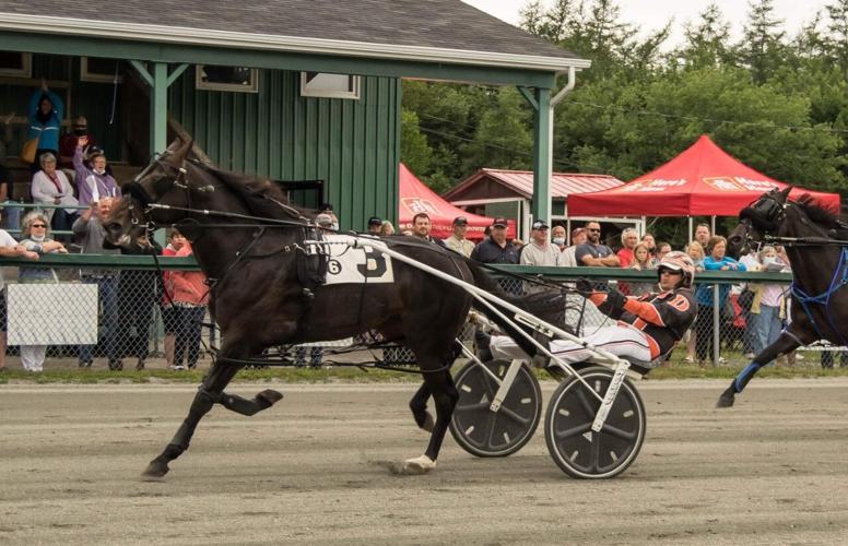 All Aged Track Record Highlights | Atlantic Post Calls | peicanada.com