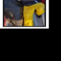 Rioux, Michael "Mike" Thomas | Island Deaths | peicanada.com