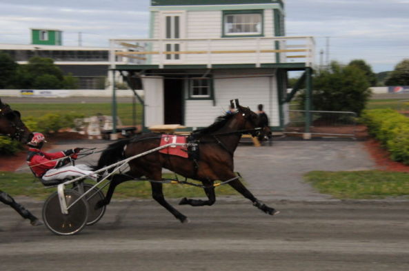 A night to remember for Earl Watts and Windemere Farms | Atlantic Post ...