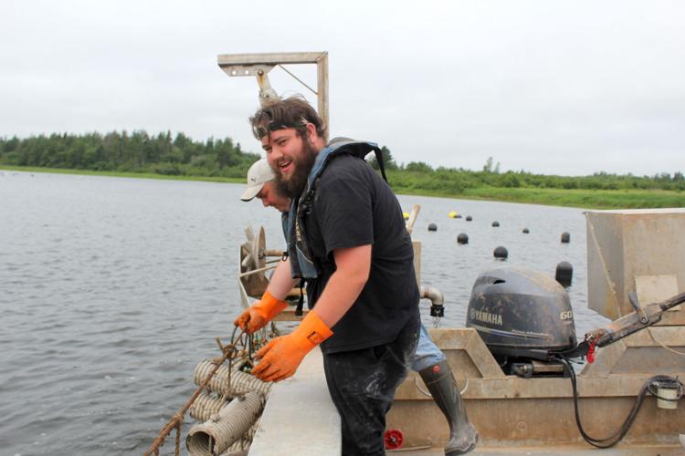 Students learning the ins and outs of the shellfish industry | West ...