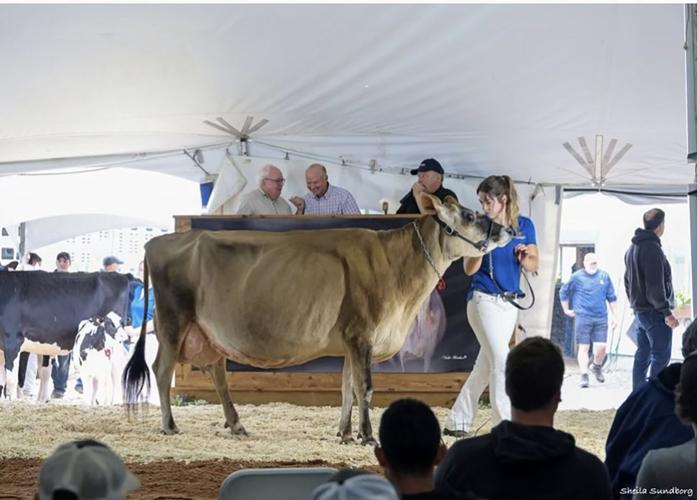 P.E.I. Jersey sells for $100,000 to set Canadian auction record ...