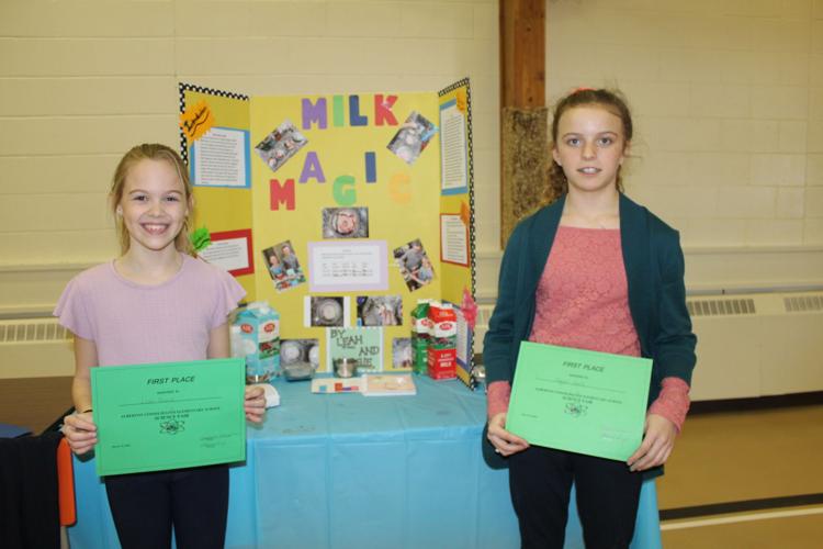 Students display their knowledge at annual science fair | West Prince ...
